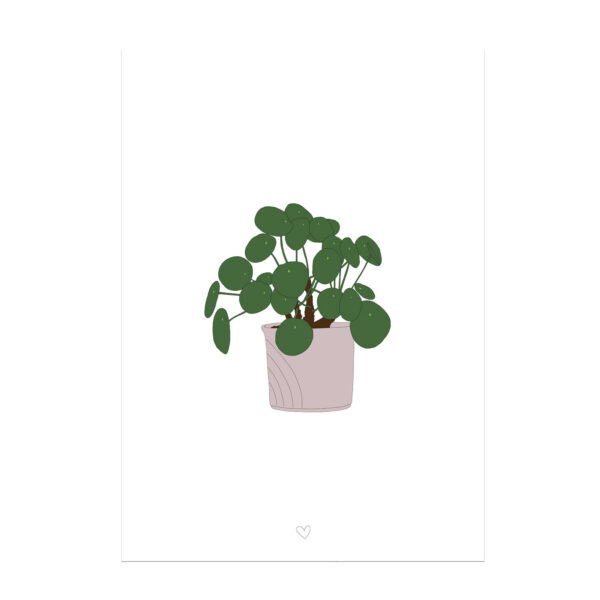 Kaart – Kast met planten – Letters & Lijnen
